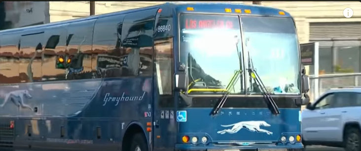 Greyhound Lines revoluciona los viajes, abre rutas de Veracruz a ...