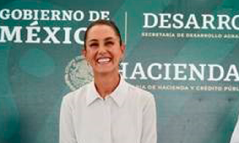 Claudia Sheinbaum agradece a Kamala Harris por felicitación tras ...