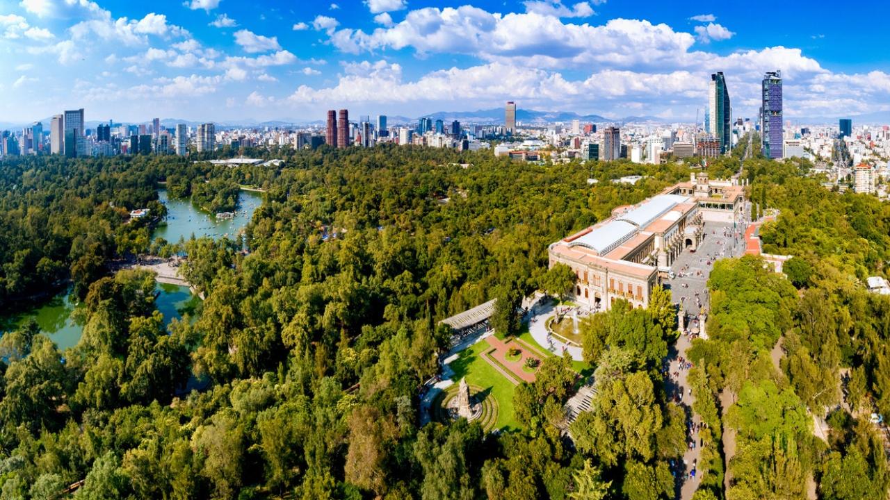 Diputados de la CDMX debaten sobre la defensa del Bosque de Chapultepec ...
